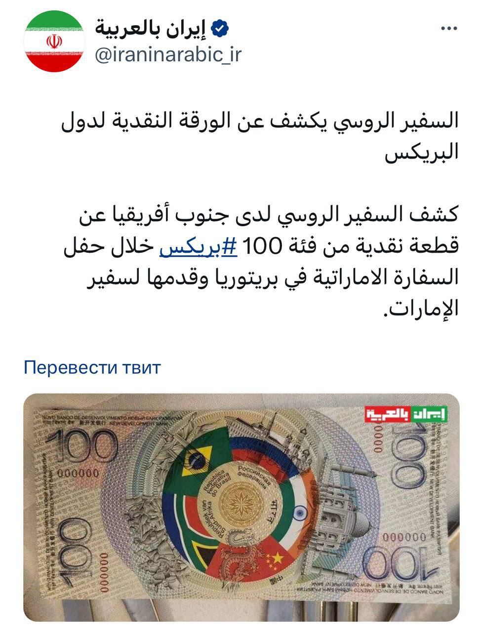 Посол России в ЮАР представил банкноту номиналом 100 БРИКС - Подоляка